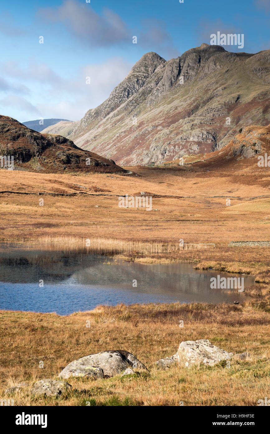 View of Langdales across Blea Tarn Stock Photo - Alamy