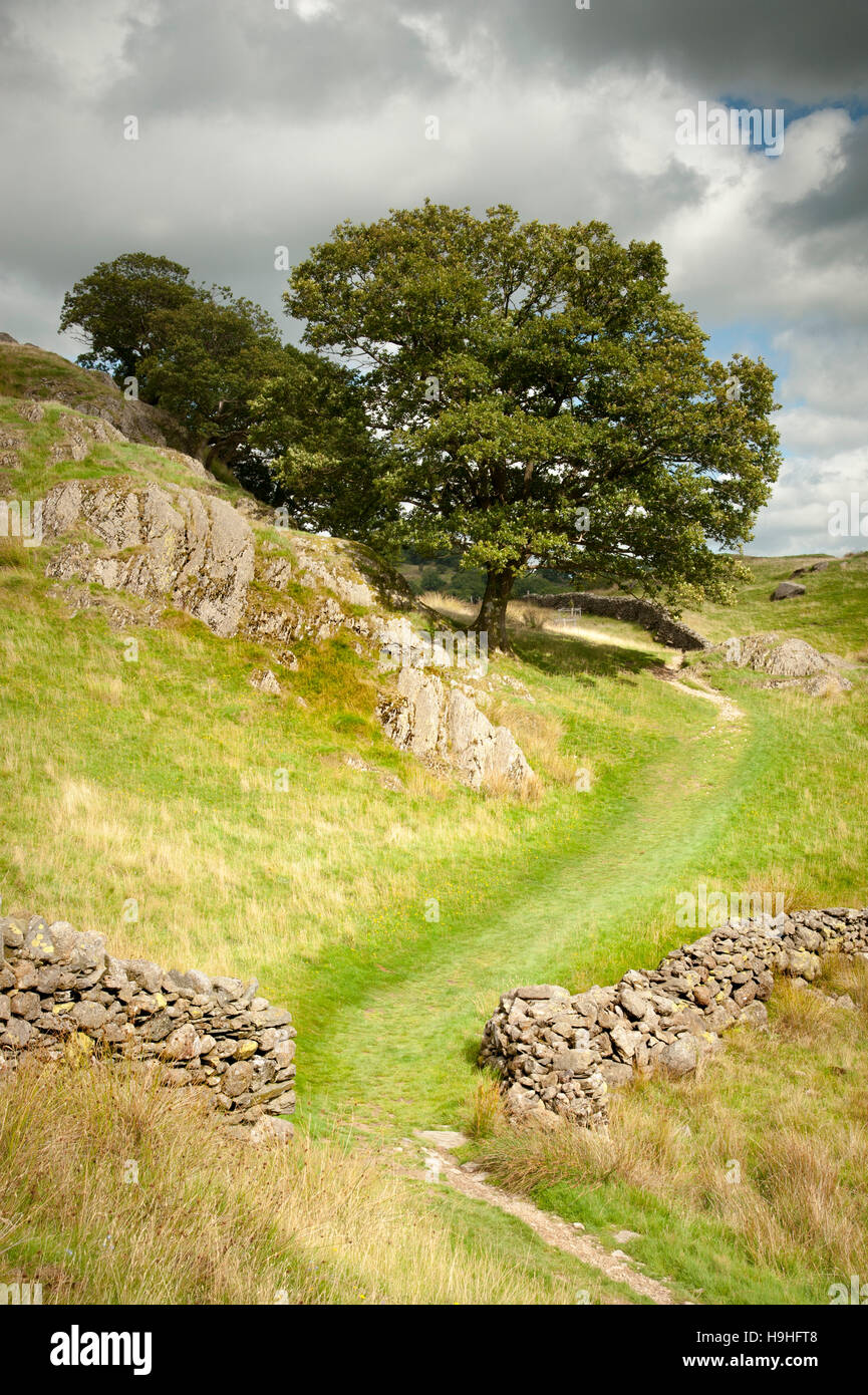 Lake District path and stone wall Stock Photo - Alamy