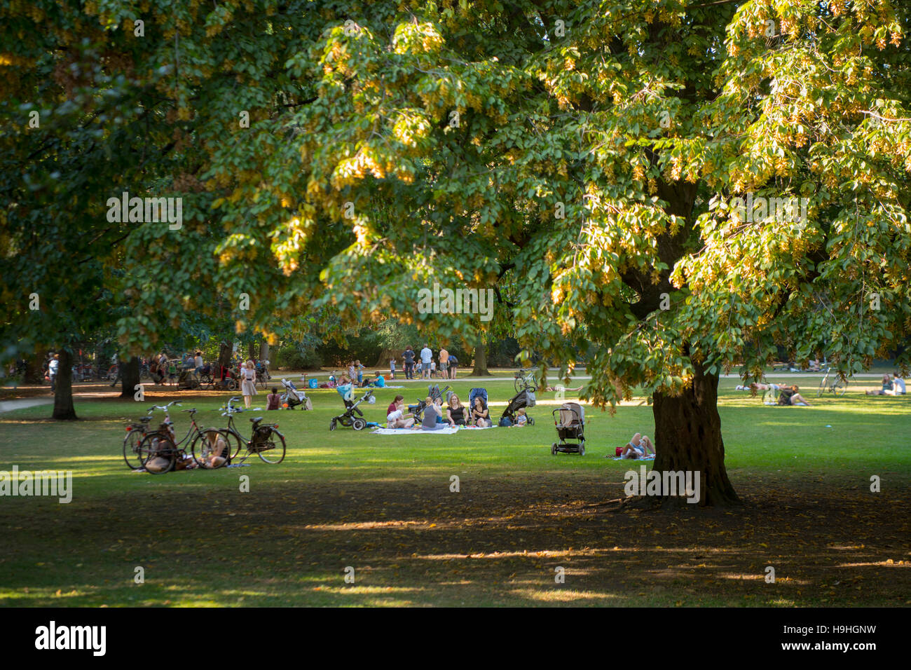 Stadtgarten hi-res stock photography and images - Alamy