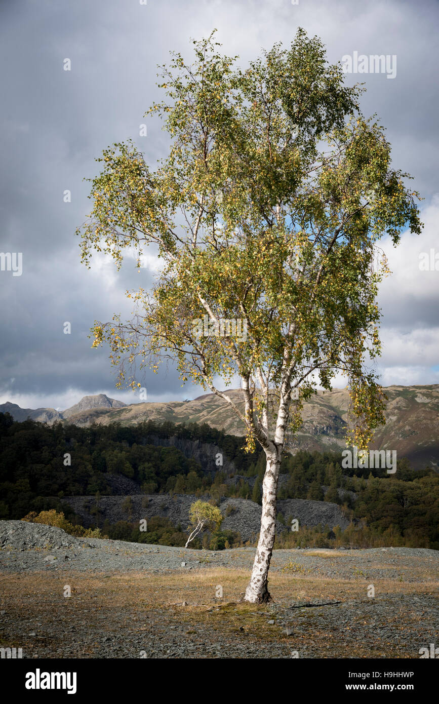 Silver hills mining district hi-res stock photography and images - Alamy