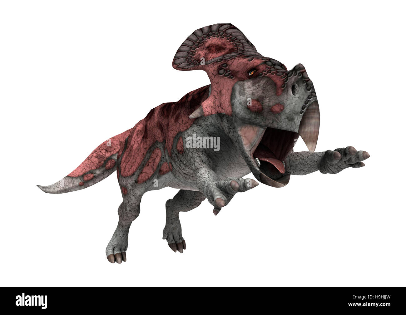 3D rendering of a dinosaur protoceratops isolated on white background ...