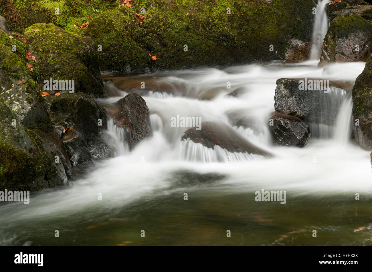 Autumn waterfall in Lake District Stock Photo - Alamy