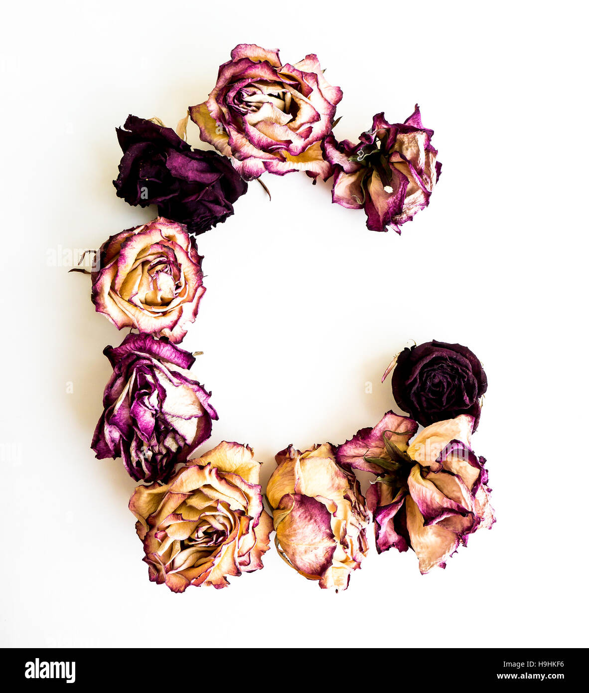Rose dried Initials letter С Stock Photo - Alamy