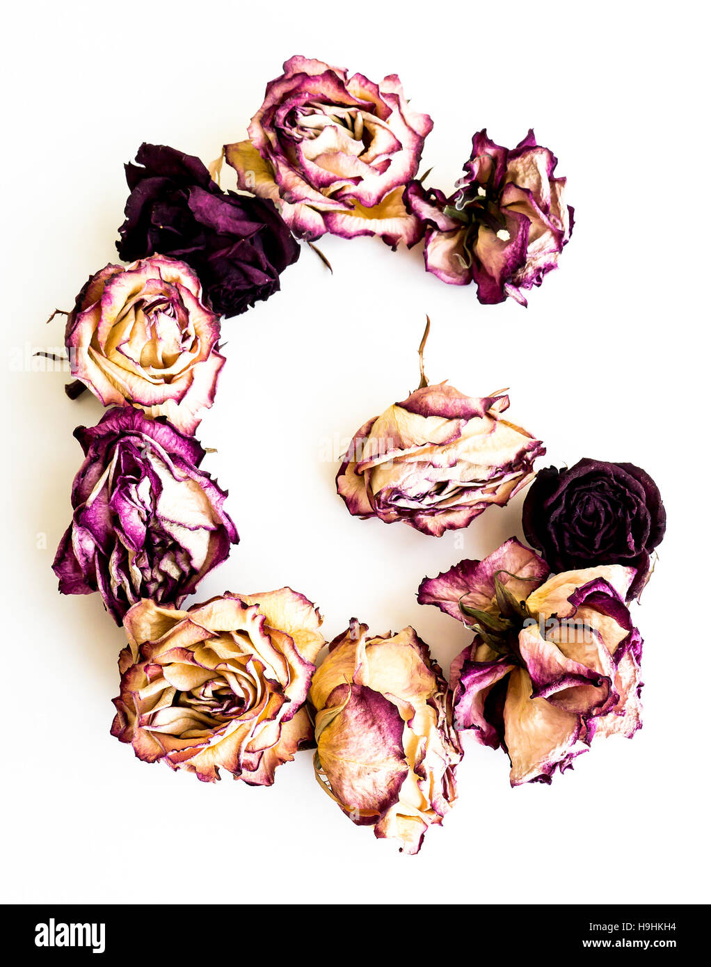 Letter q and g hi-res stock photography and images - Alamy