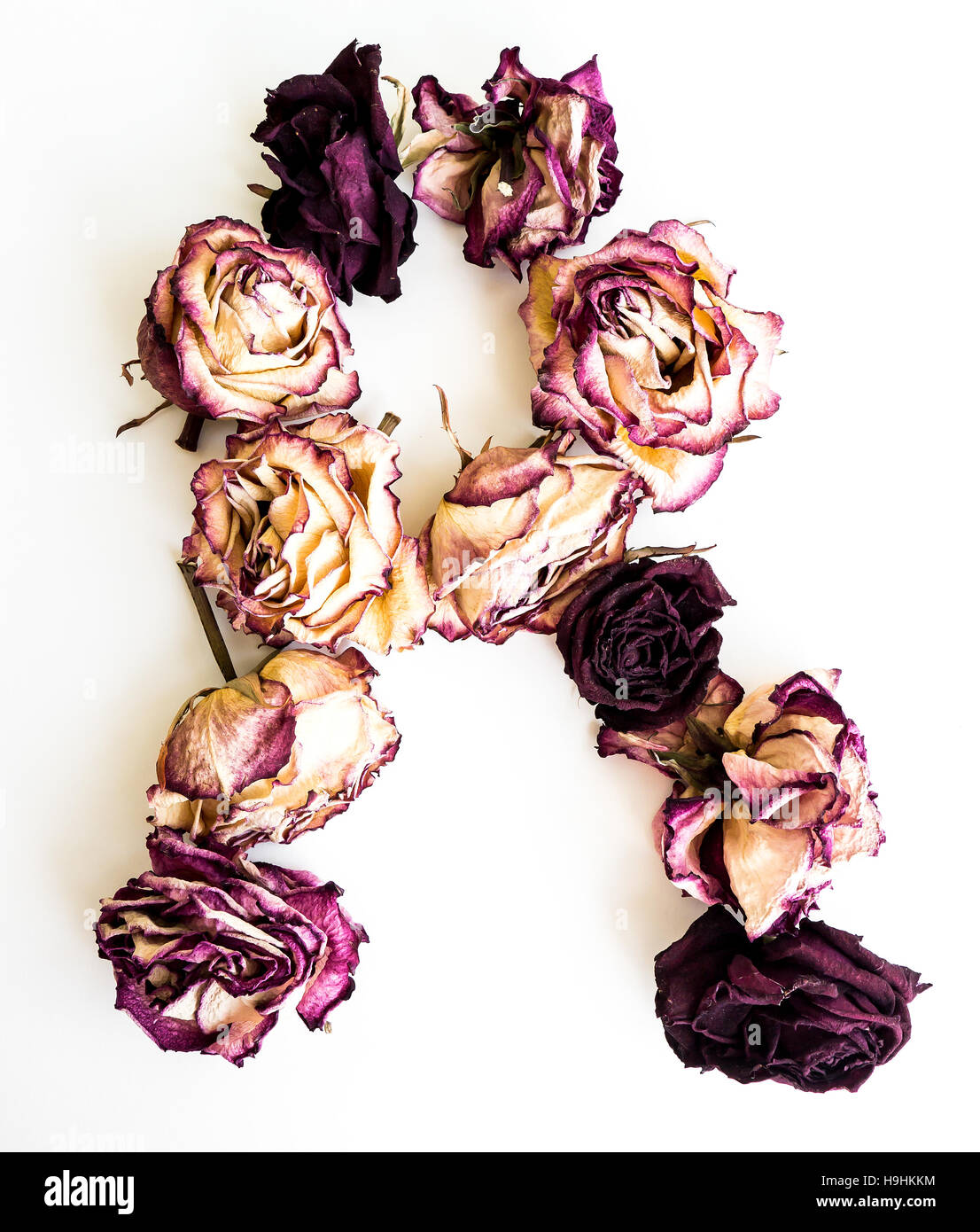Rose dried Initials letter R Stock Photo - Alamy