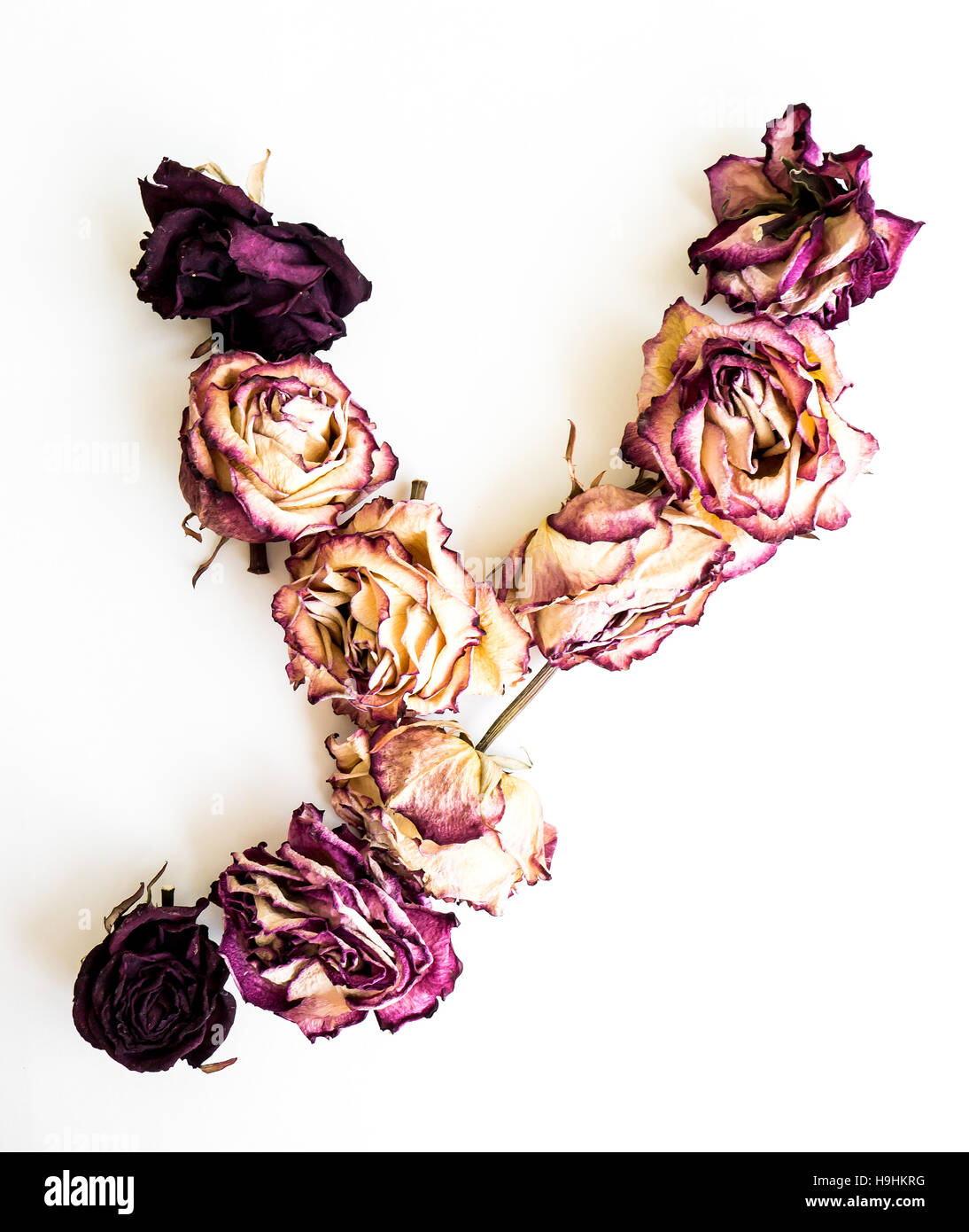 K and y initials hi-res stock photography and images - Alamy