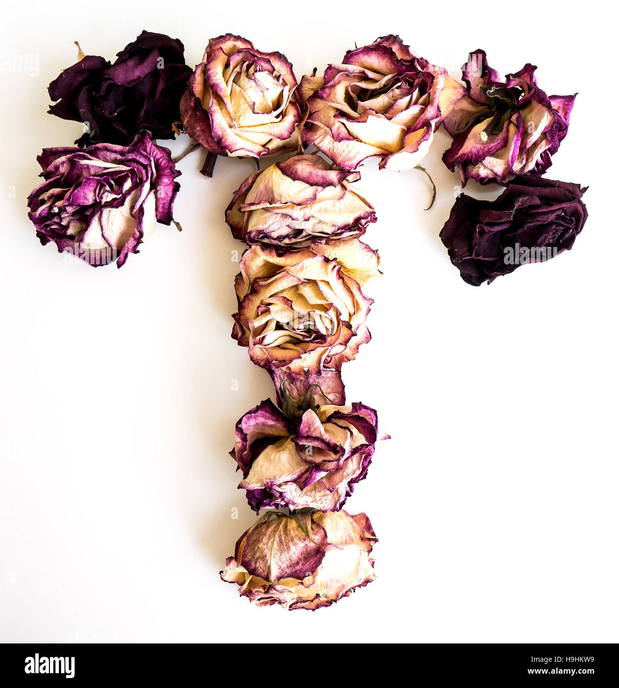 T Letter In Rose Rose Invitation Card Designs