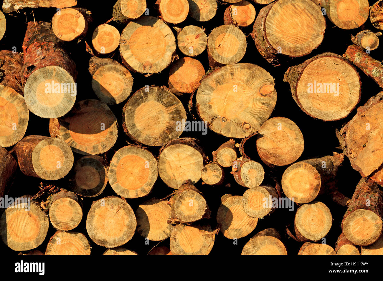 Split softwood stack hi-res stock photography and images - Alamy