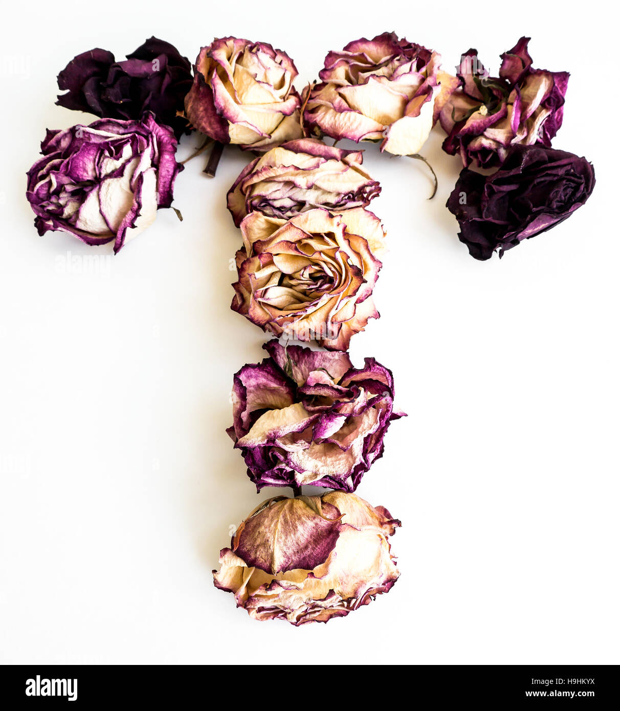 Rose dried Initials letter T Stock Photo - Alamy