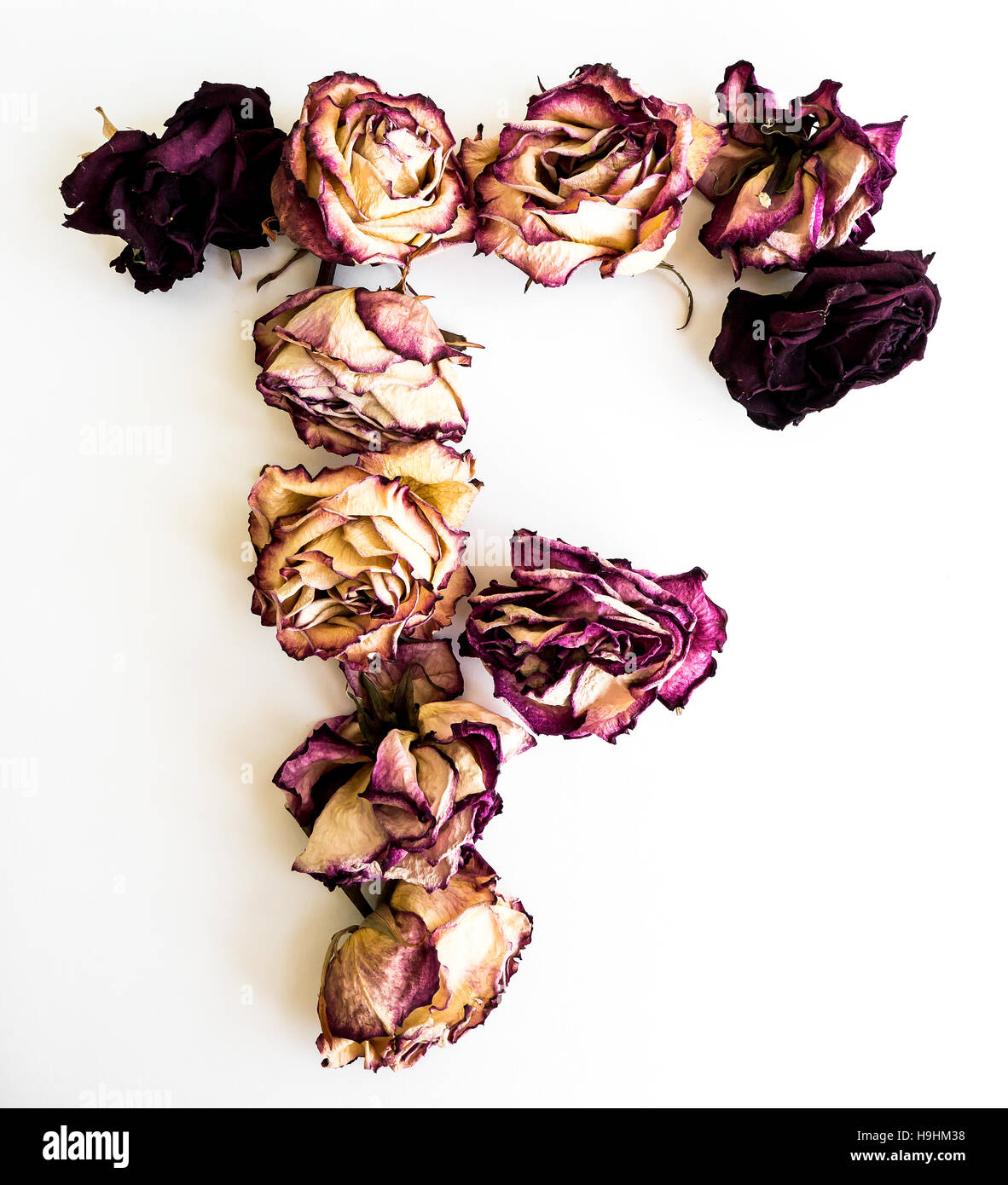 Dry font hi-res stock photography and images - Alamy