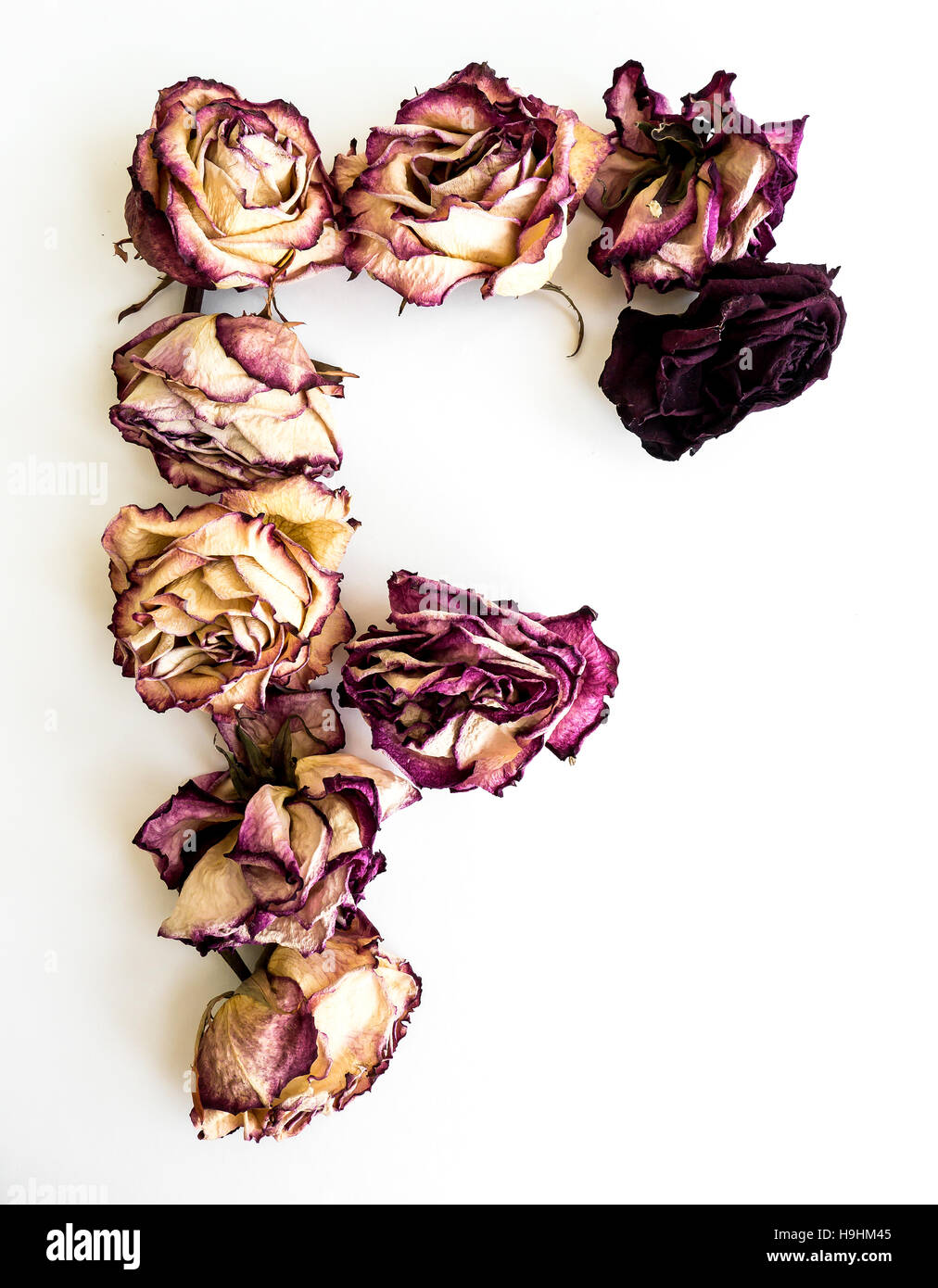 Rose dried Initials letter F Stock Photo - Alamy