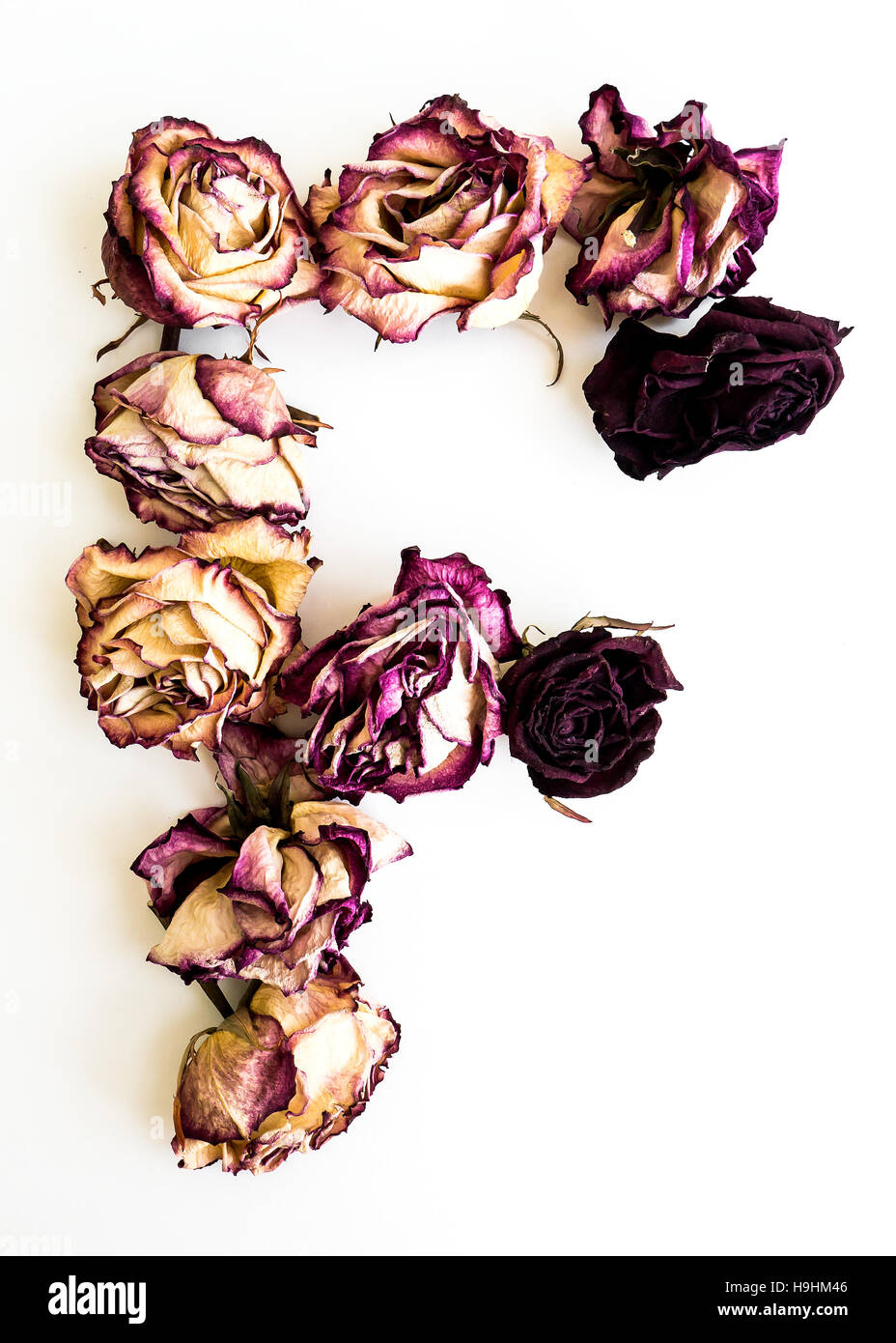 Letter f and q hi-res stock photography and images - Alamy