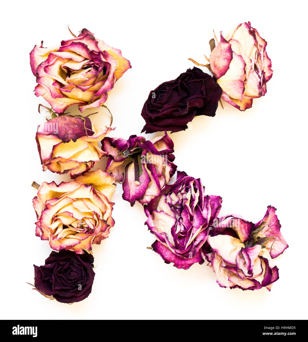 O f letter Cut Out Stock Images & Pictures - Alamy