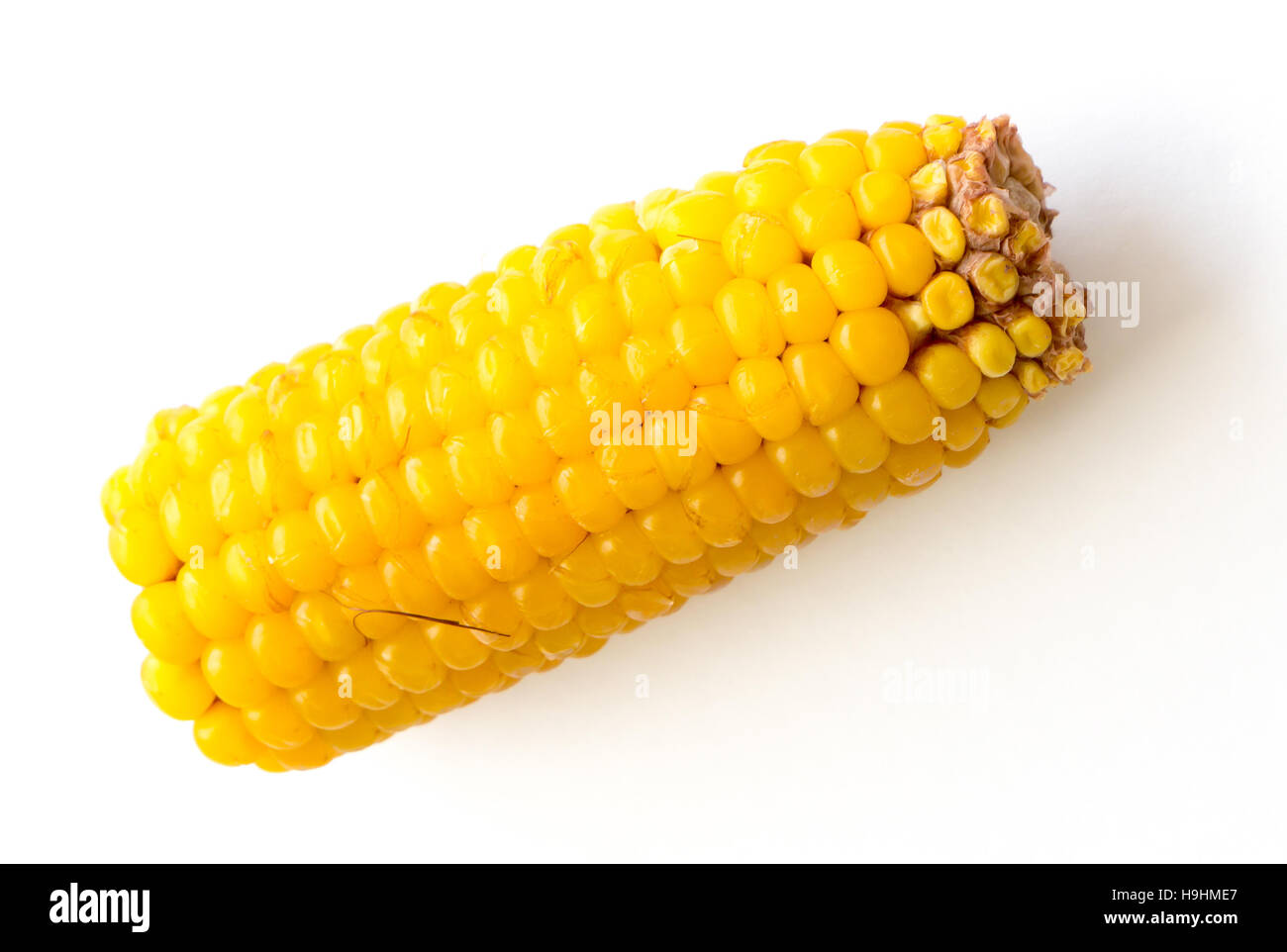 The yellow nature corn isolated Stock Photo - Alamy