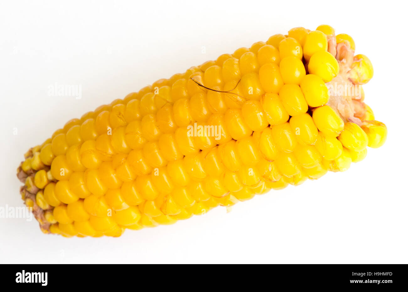 The yellow nature corn isolated Stock Photo - Alamy