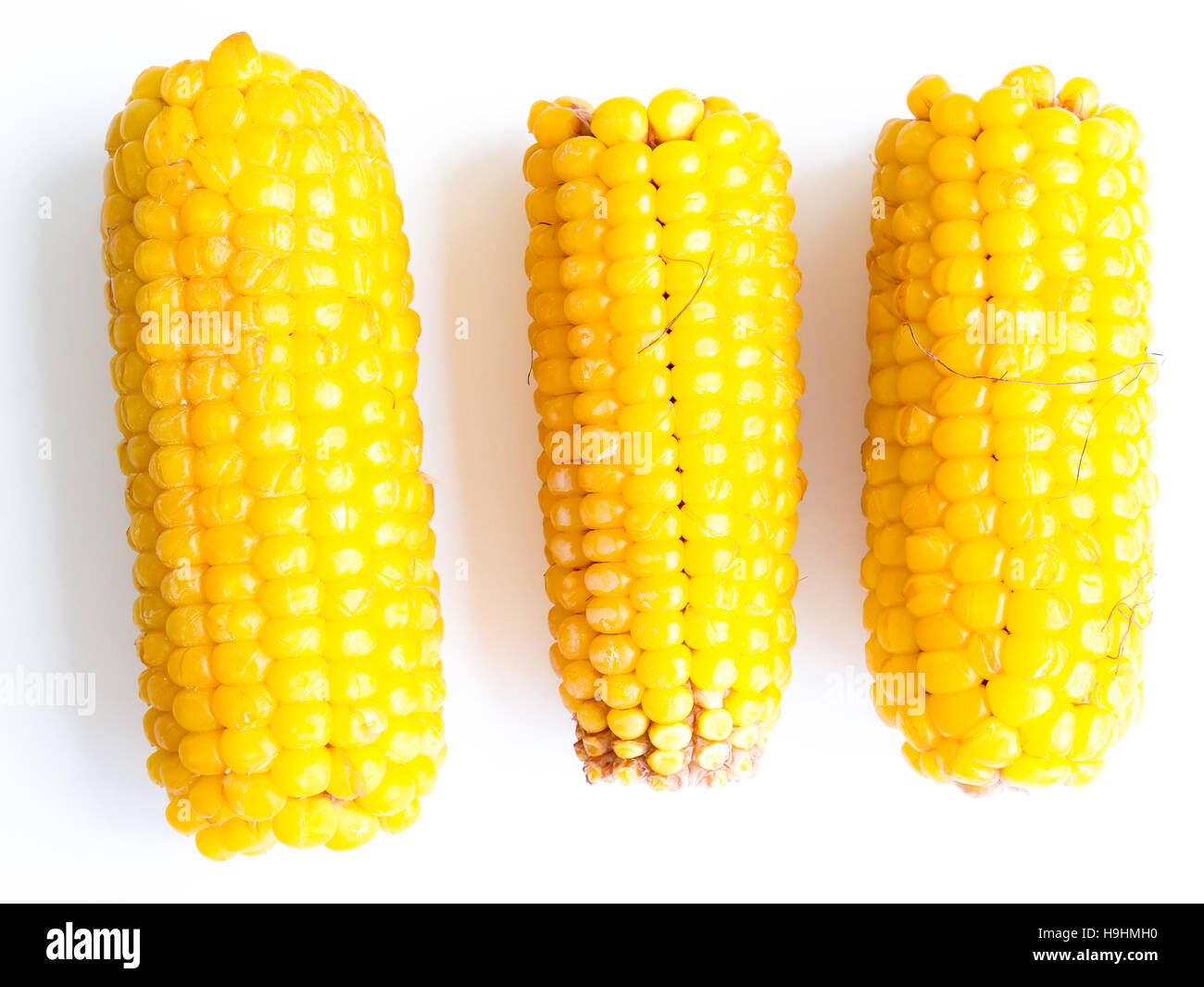 The yellow nature corn isolated Stock Photo - Alamy