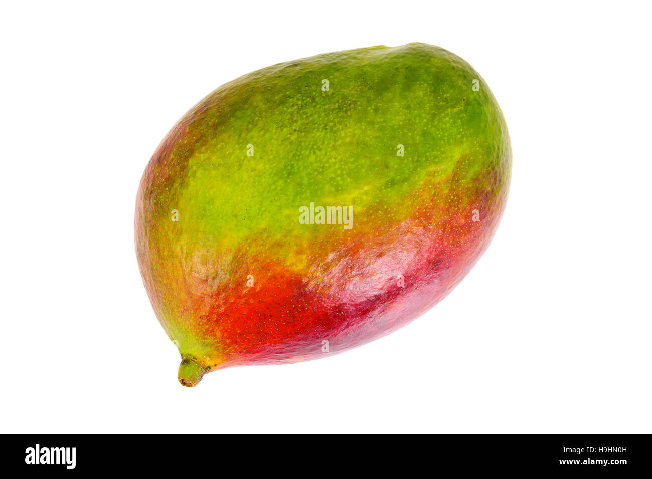 Healthy eating: Fresh juicy fruit, ripe Mango. Studio Photo Stock Photo ...