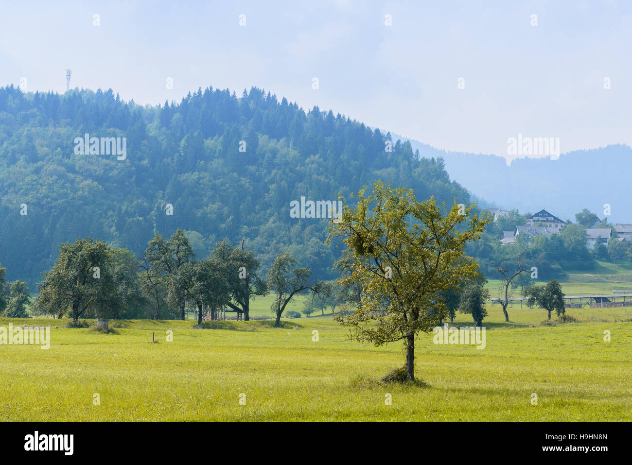 Beautiful rolling landscape on a summers day Stock Photo - Alamy