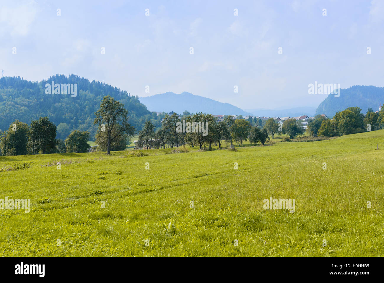 Beautiful rolling landscape on a summers day Stock Photo - Alamy