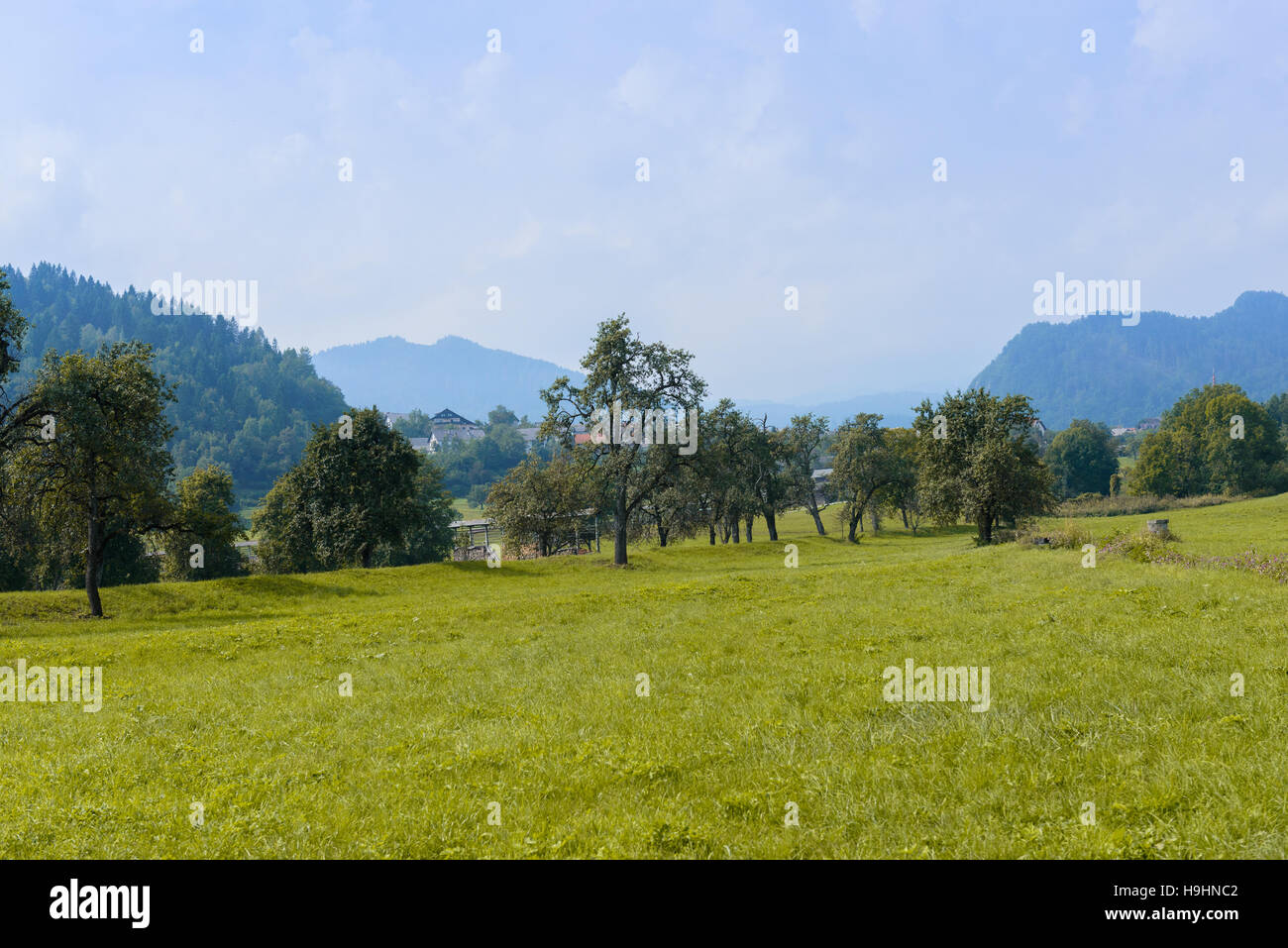 Beautiful rolling landscape on a summers day Stock Photo - Alamy