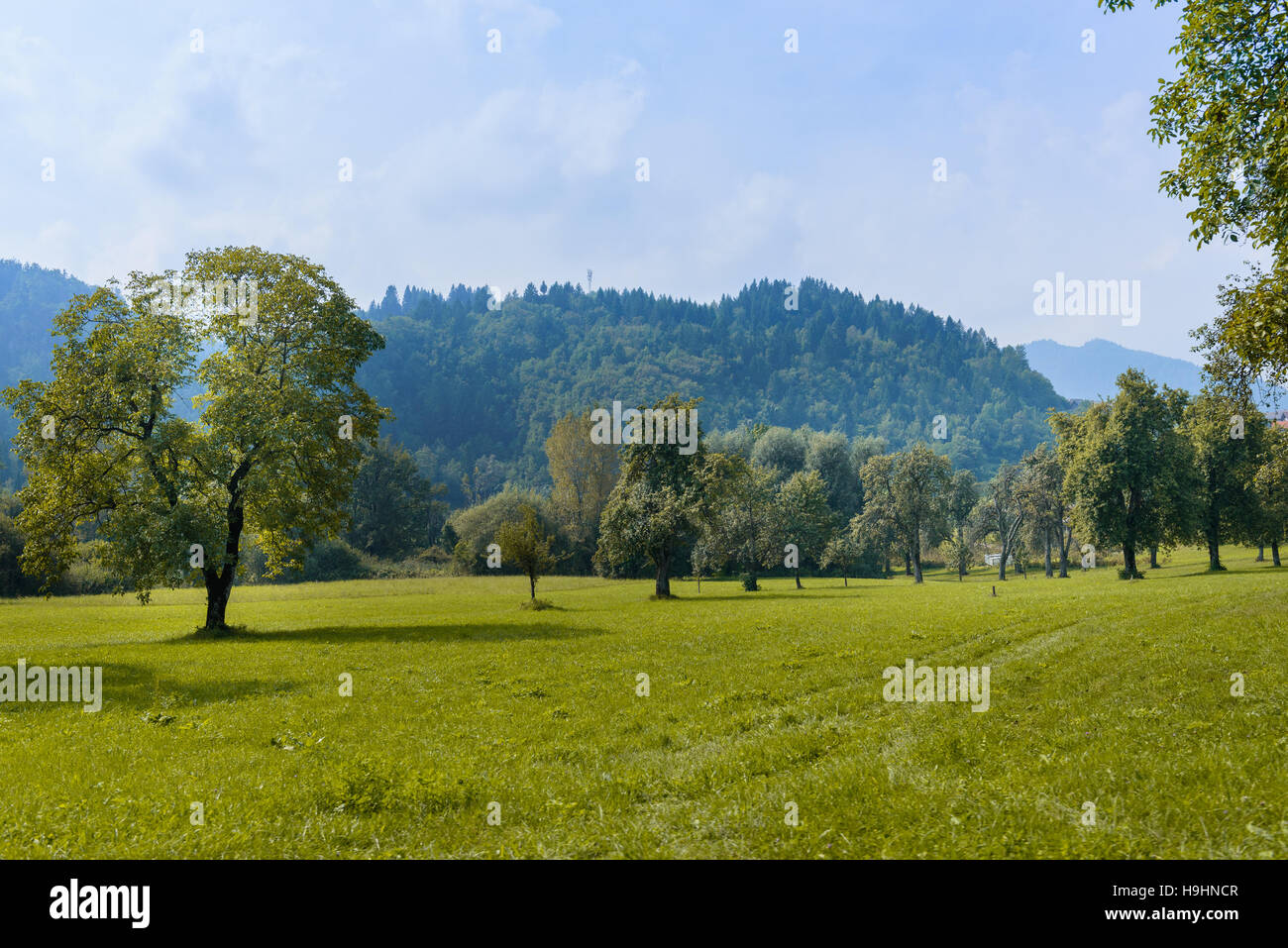 Beautiful rolling landscape on a summers day Stock Photo - Alamy