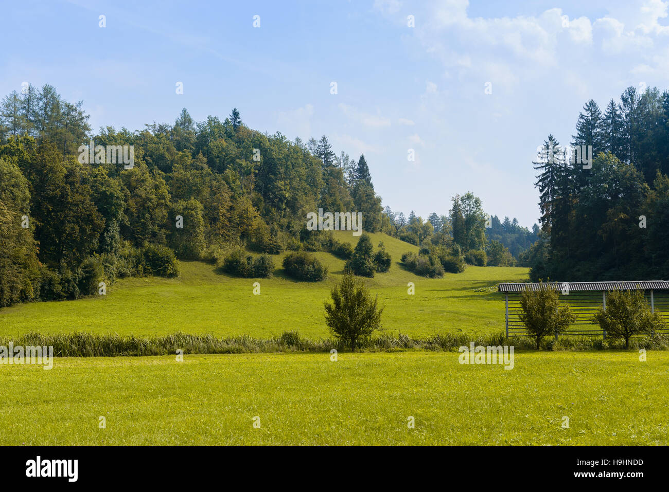 Beautiful rolling landscape on a summers day Stock Photo - Alamy