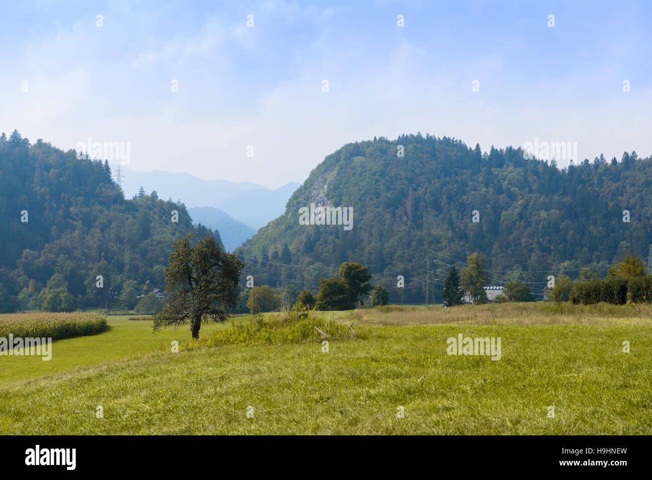 Beautiful rolling landscape on a summers day Stock Photo - Alamy