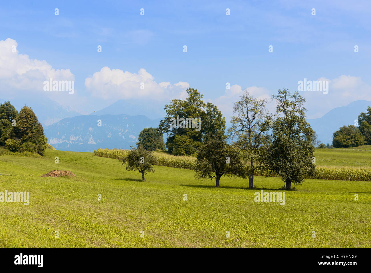Beautiful rolling landscape on a summers day Stock Photo - Alamy