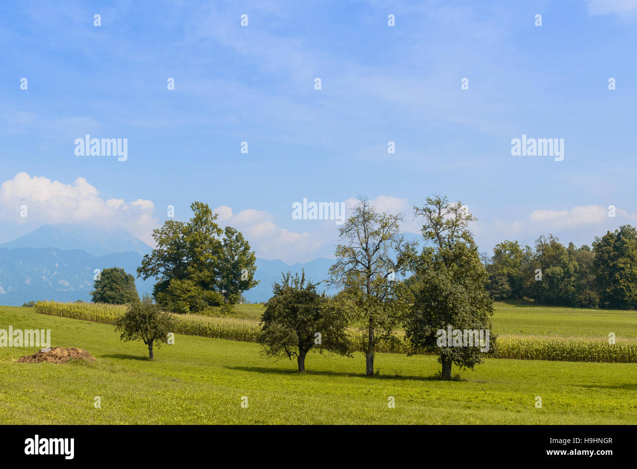 Beautiful rolling landscape on a summers day Stock Photo - Alamy