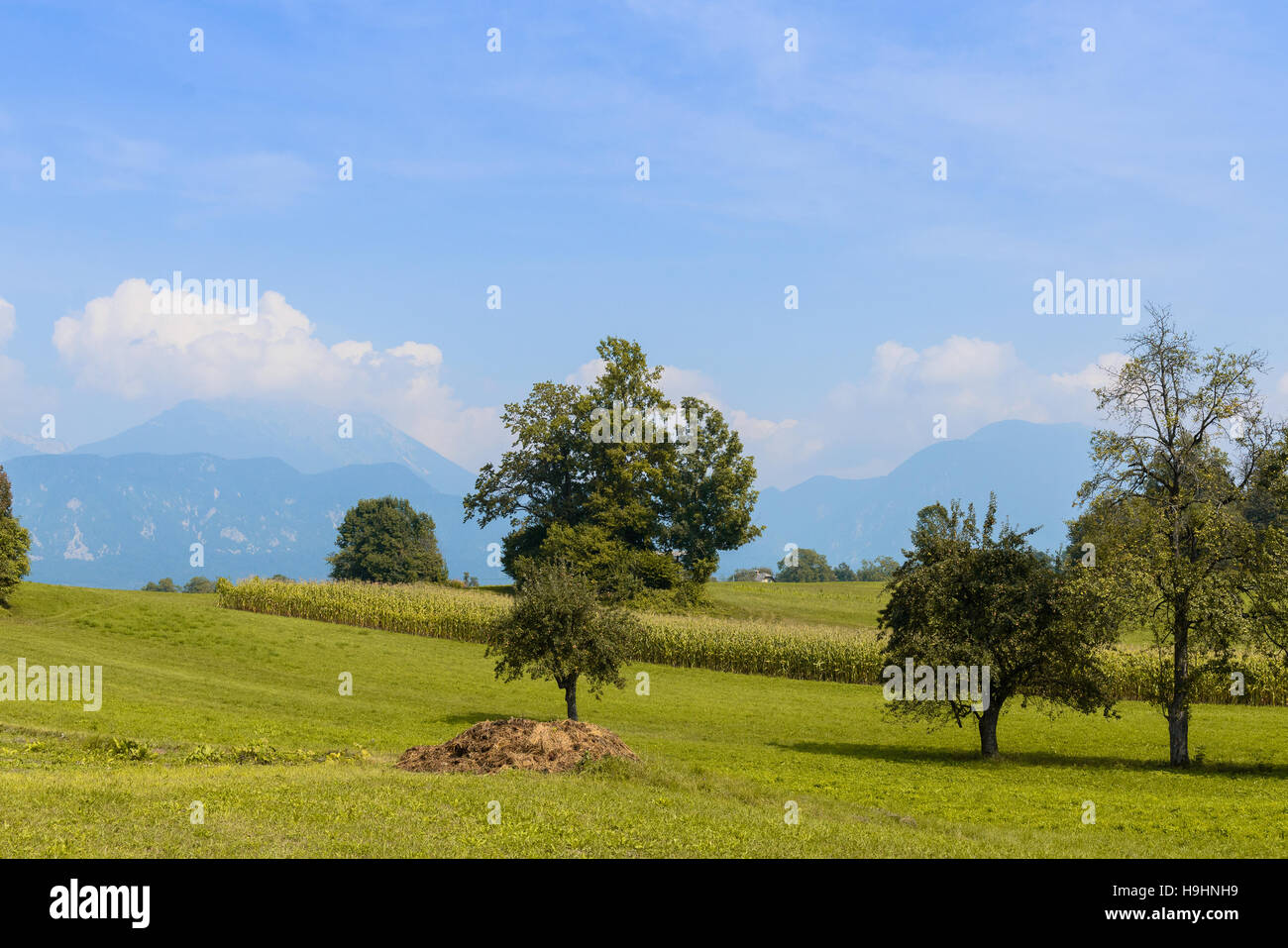 Beautiful rolling landscape on a summers day Stock Photo - Alamy