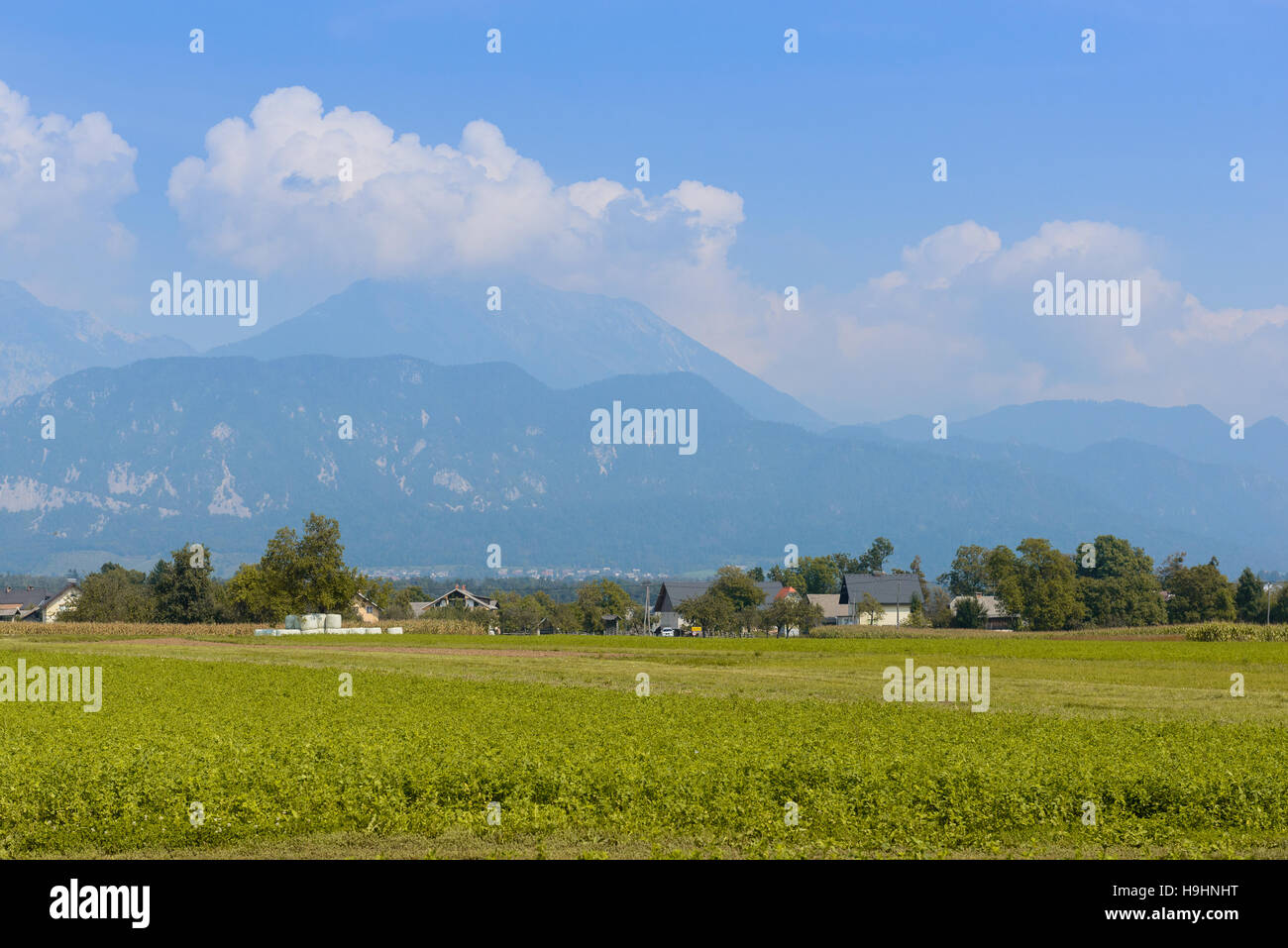 Beautiful rolling landscape on a summers day Stock Photo - Alamy