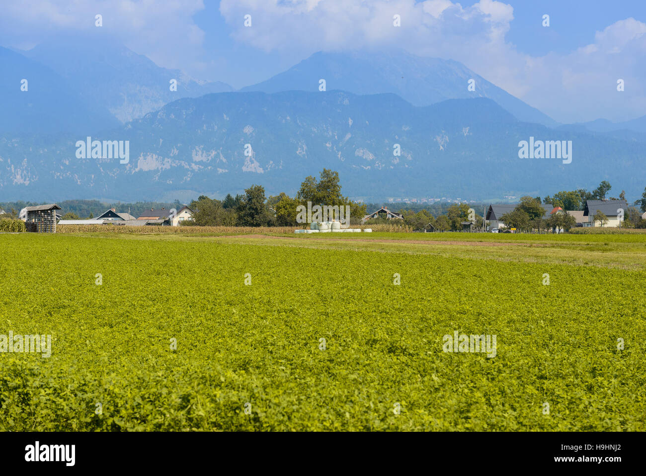 Beautiful rolling landscape on a summers day Stock Photo - Alamy