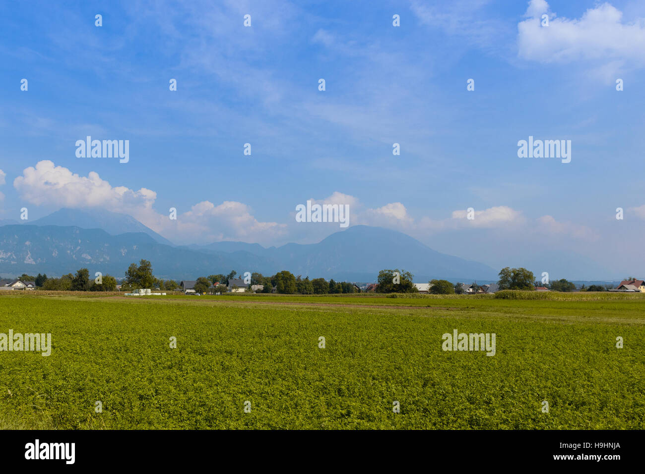 Beautiful rolling landscape on a summers day Stock Photo - Alamy