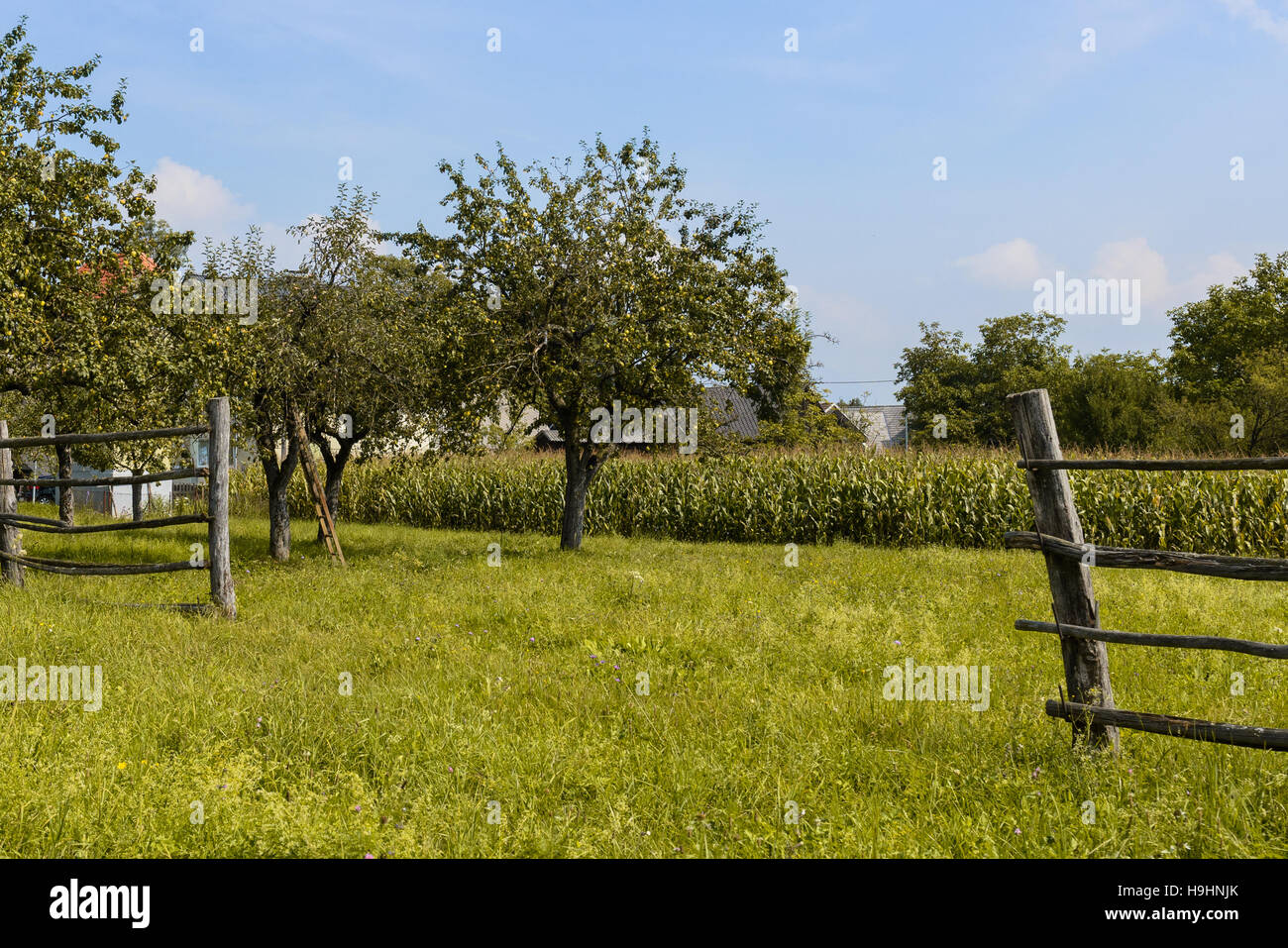 Beautiful rolling landscape on a summers day Stock Photo - Alamy