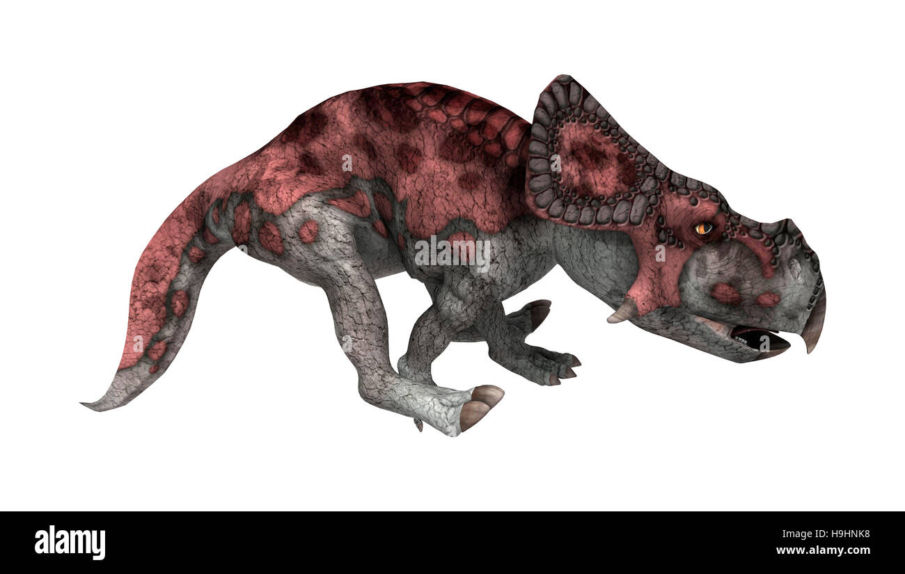 Protoceratops andrewsi hi-res stock photography and images - Alamy