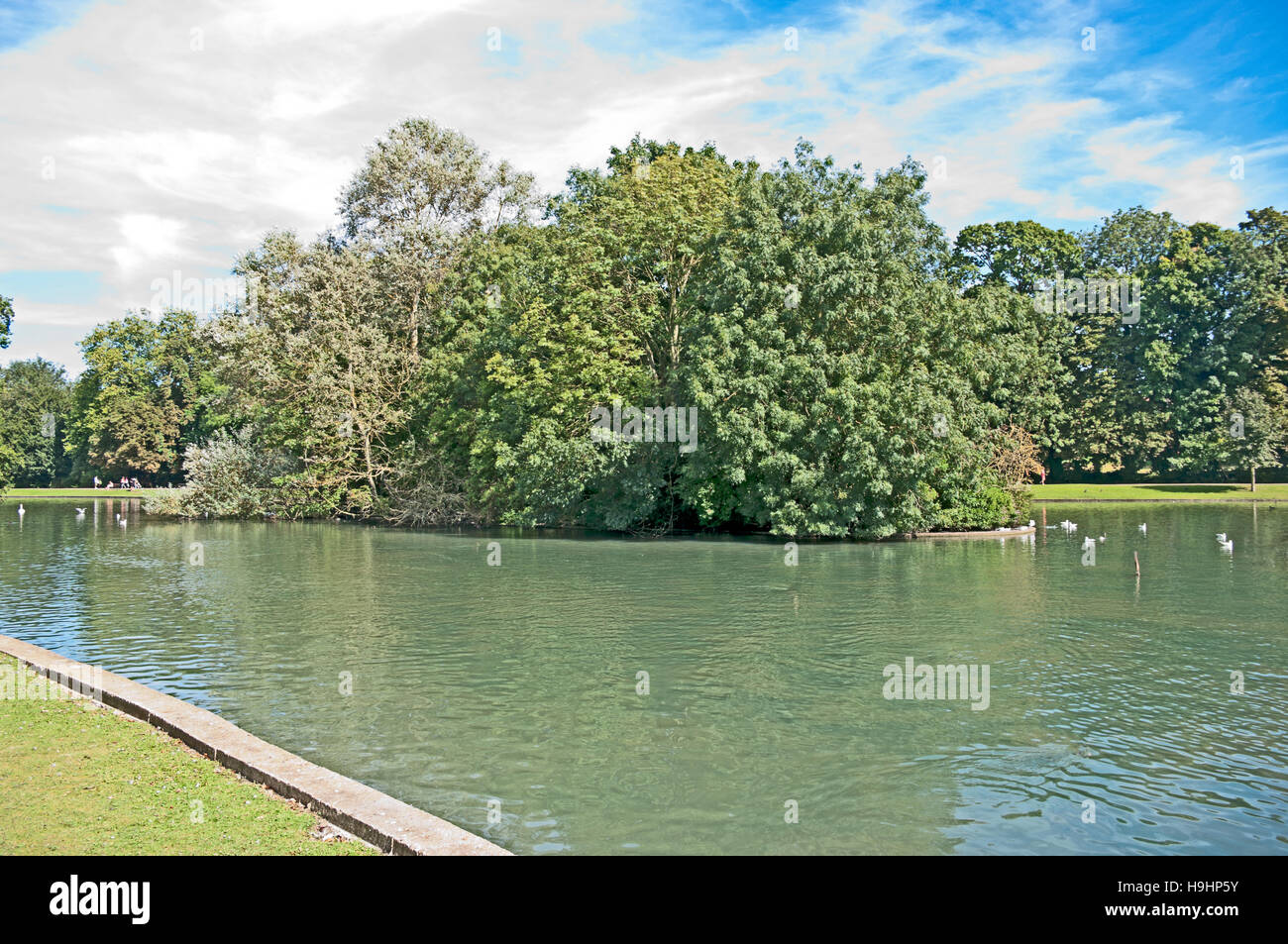 St Albans, Verulamium Park Lake, Hertfordshire, England Stock Photo - Alamy