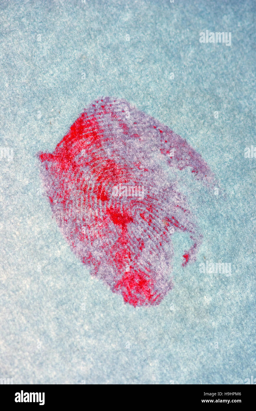 Bloody fingerprint as evidence in forensic crime investigation, close ...