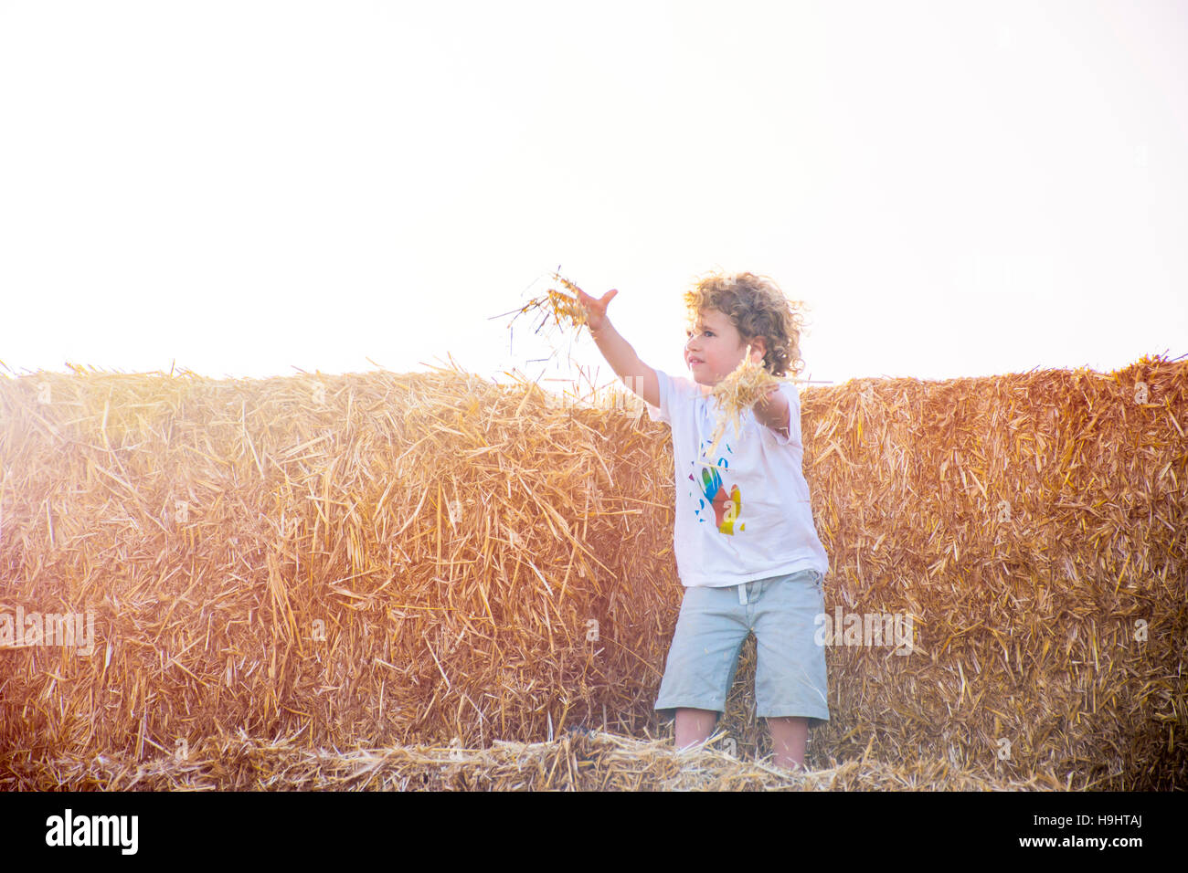 blond boy play in the Hay Stock Photo - Alamy