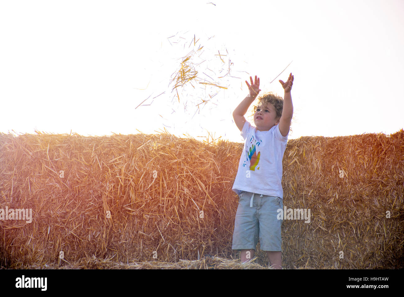 blond boy play in the Hay Stock Photo - Alamy