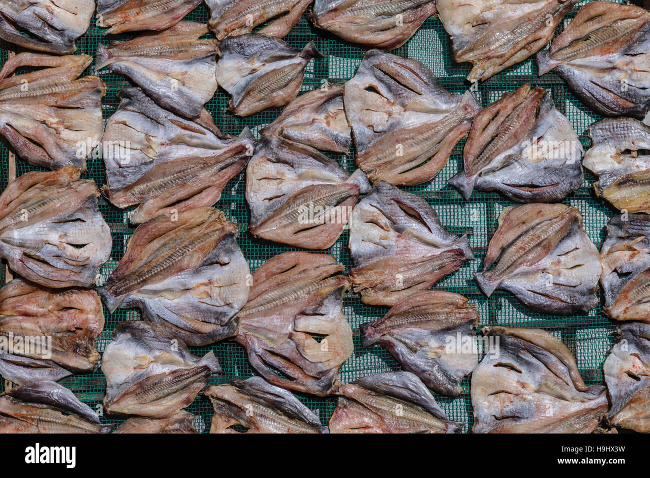 fish laid out for drying on a boat in Vinh Long, Mekong Delta, Vietnam ...