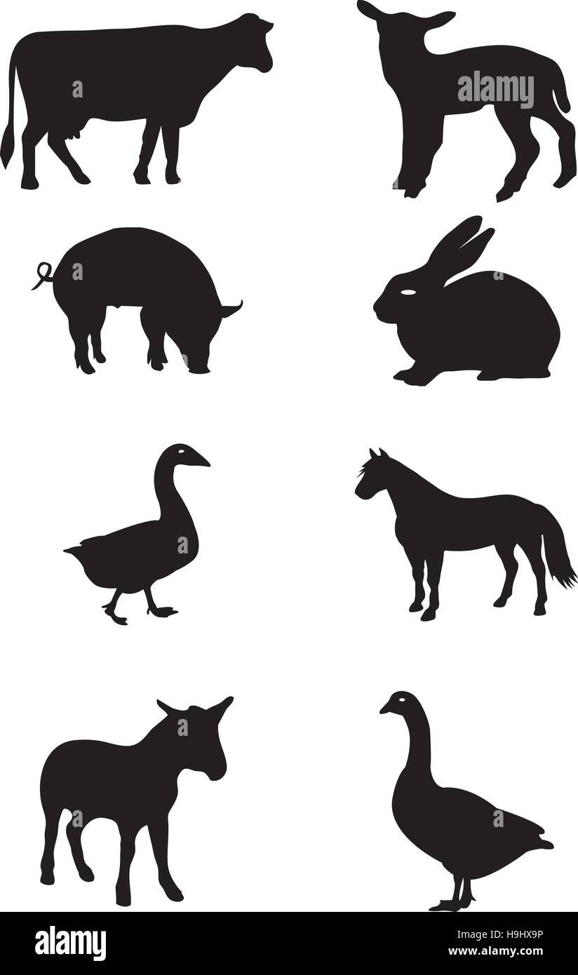 Label design farm animals Stock Vector Images - Alamy