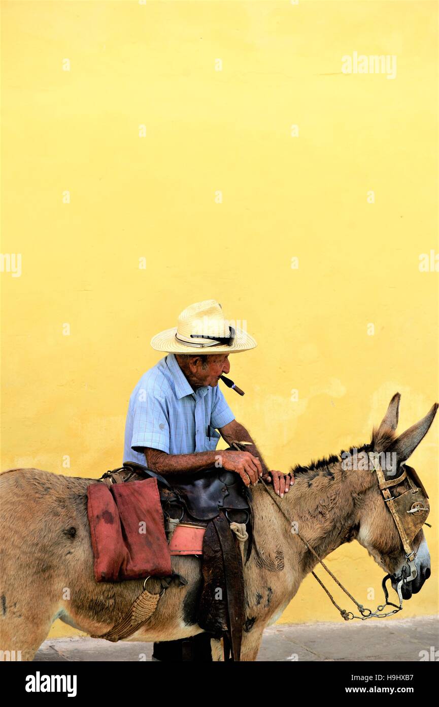 Man on donkey on the streets of Trinidad in Cuba Stock Photo - Alamy