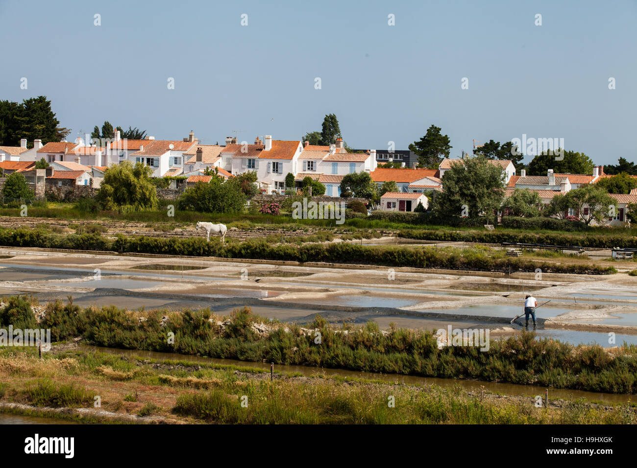 Salt tide on Île d'Oléron Stock Photo - Alamy