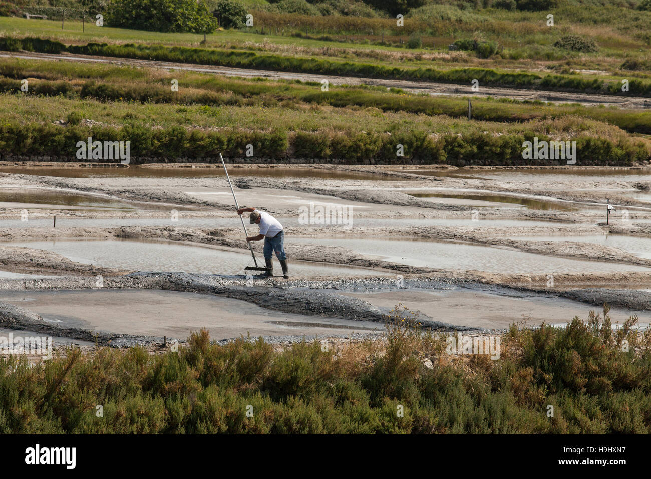Salt tide on Île d'Oléron Stock Photo - Alamy