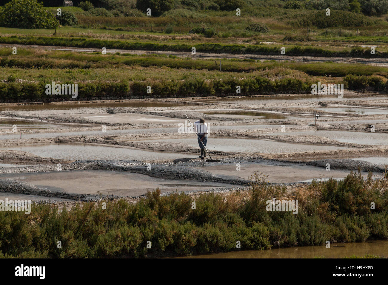 Salt tide on Île d'Oléron Stock Photo - Alamy
