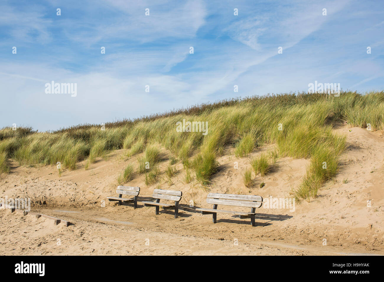 Three benches in the sand dunes at Pembrey Country Park, Wales, on a ...