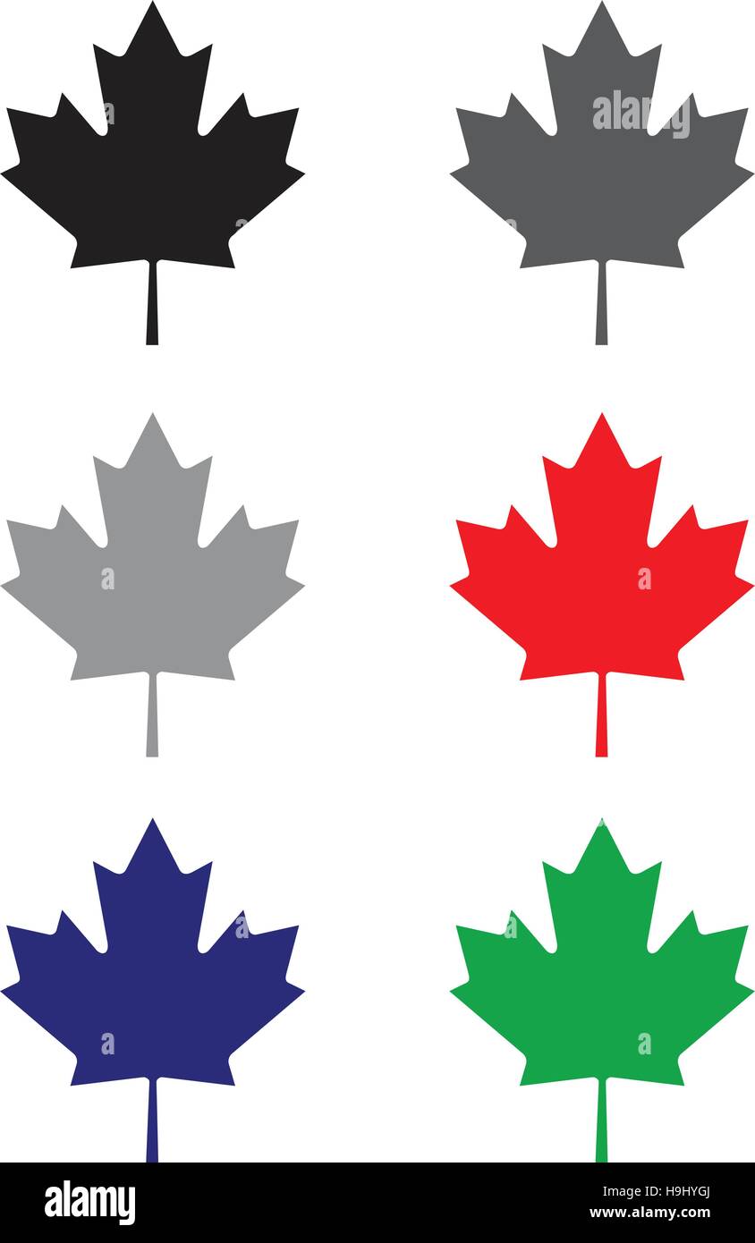 Maple leaf icon Stock Vector Image & Art - Alamy