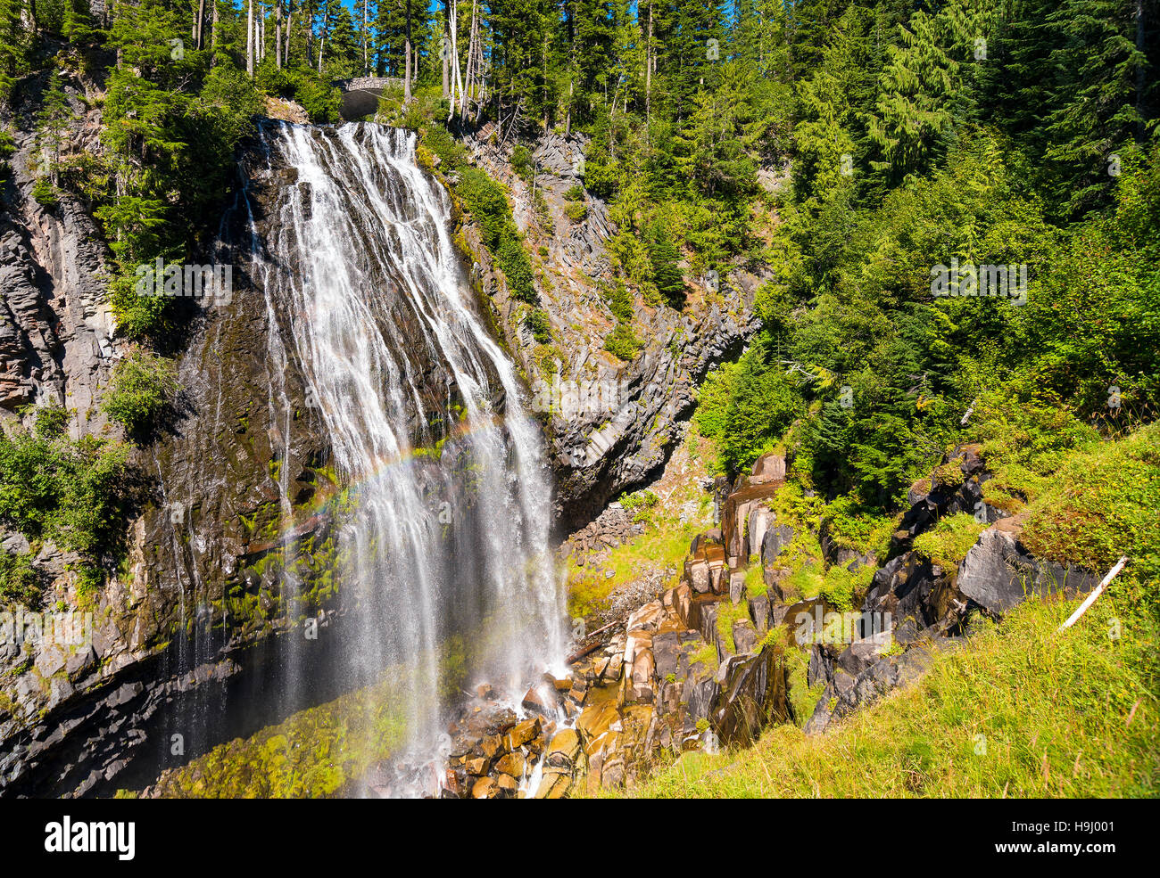 Narada Falls in Mount Rainier National Park, Washington Stock Photo - Alamy