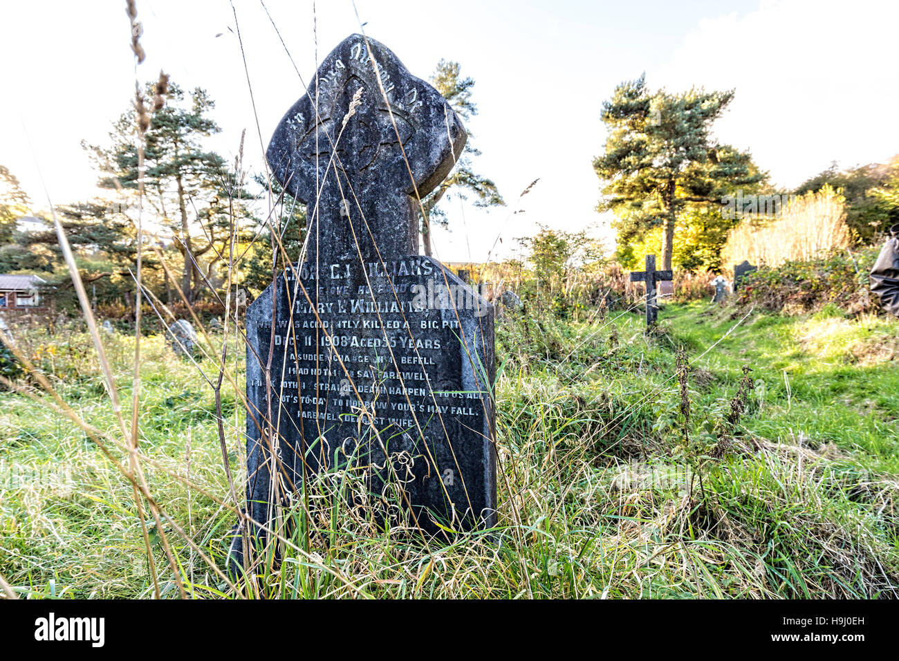 Death pit hi-res stock photography and images - Alamy