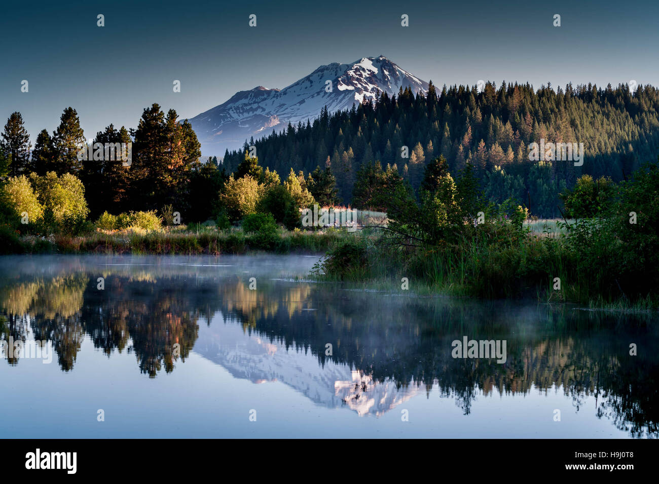 Mount Shasta View pond forground Stock Photo - Alamy